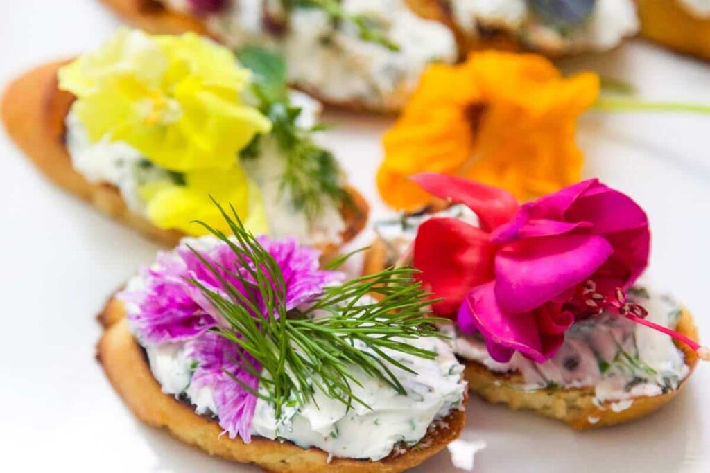 Seasonal Spring Appetizers to Get the Party Started - The Hungry Gourmet